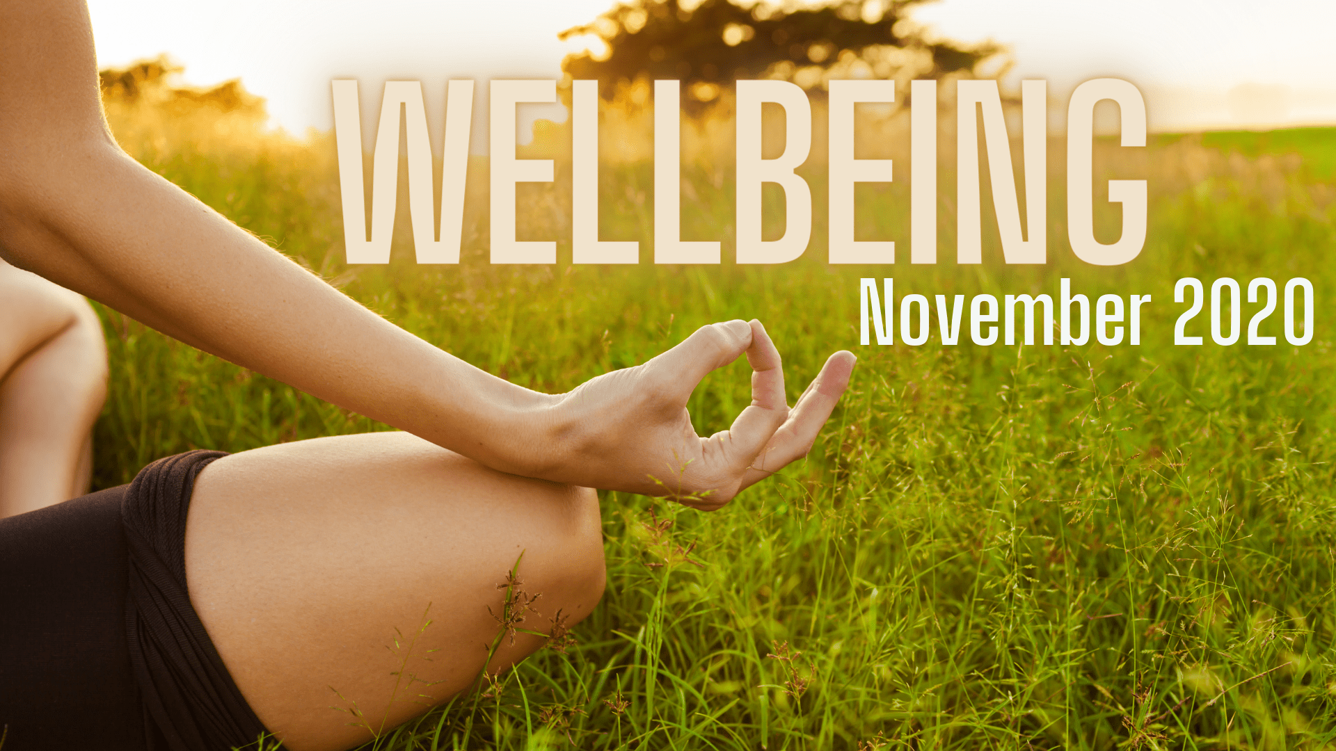 November Wellbeing - Barkley Risk Management and Insurance